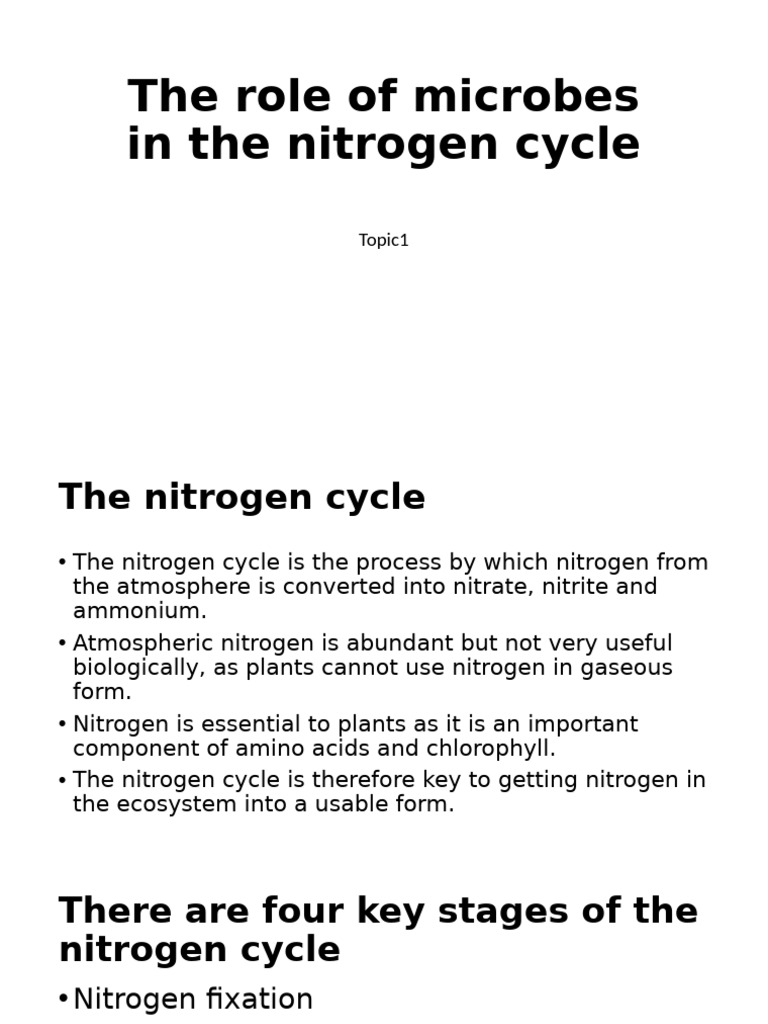The Role of Microbes in The Nitrogen Cycle | PDF | Nitrogen | Metabolism