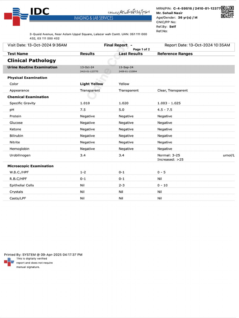 Patient Report PDF | PDF