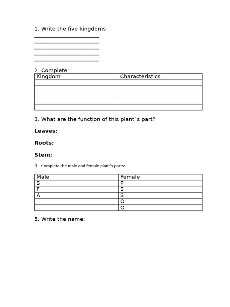 Write the Five Kingdoms | PDF