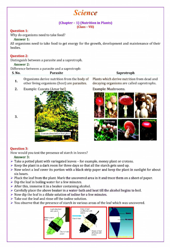 Class 7 Science Ch1 | PDF