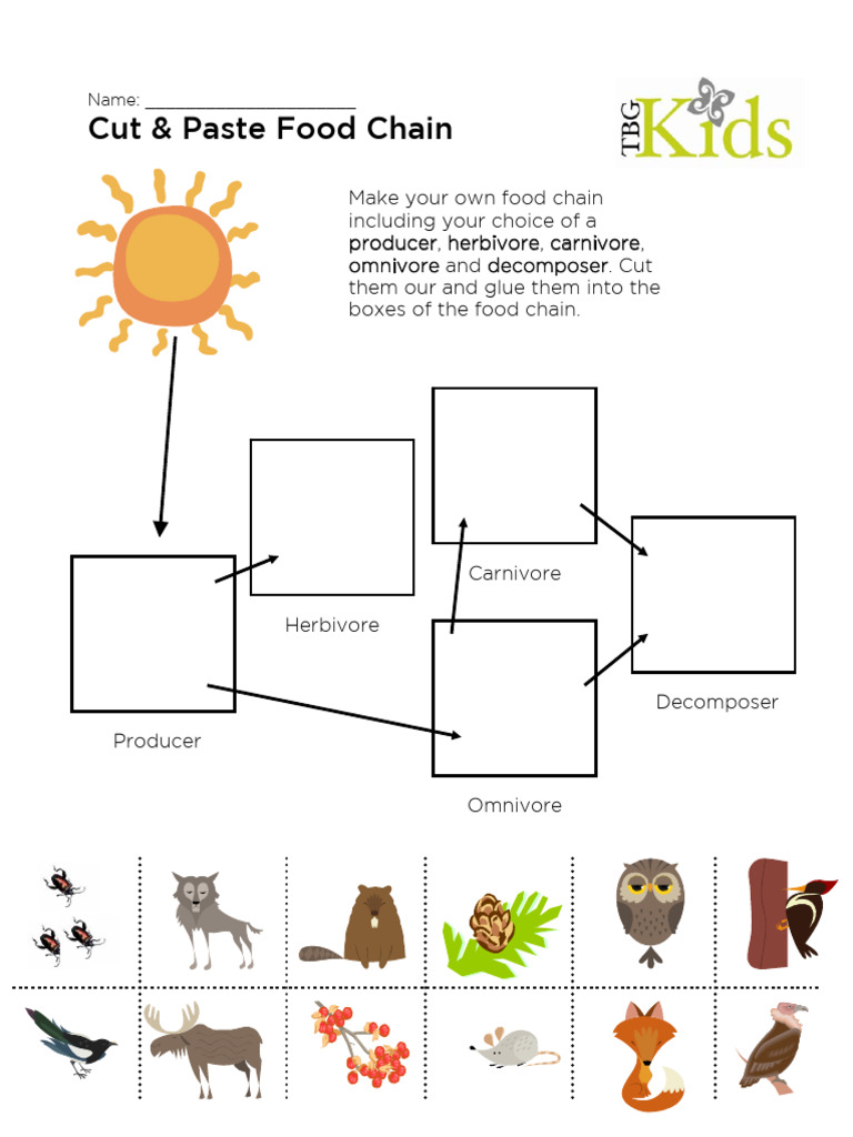 Create Your Own Food Chain Activity | PDF