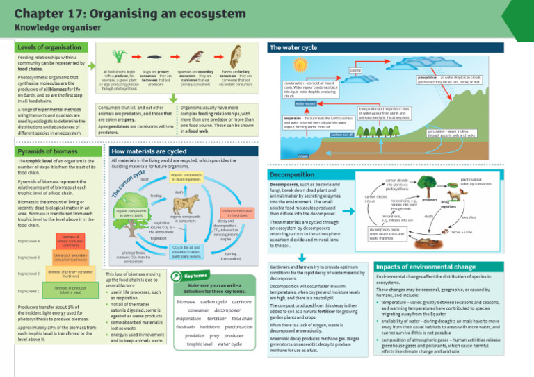 Organizing the Ecosystem | PDF