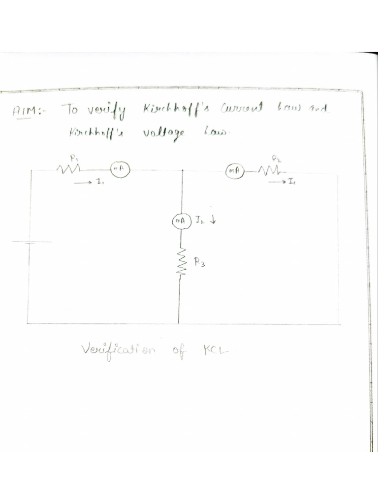 Bee Experiment 1 | PDF