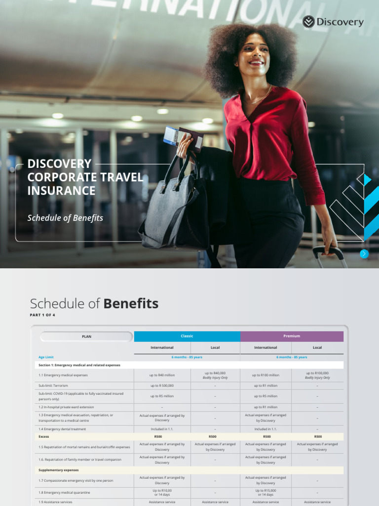 Business Travel Benefit Schedule | PDF