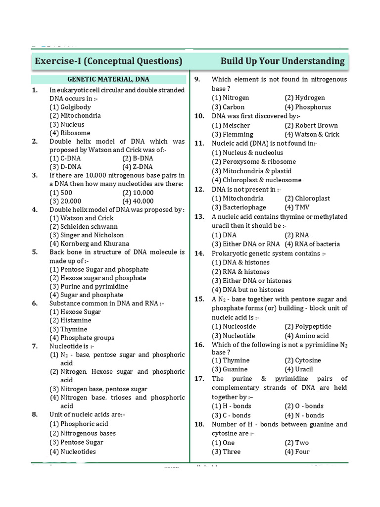 Molecular Basis of Inheritance Mega PDF | PDF | Dna | Nucleic Acids