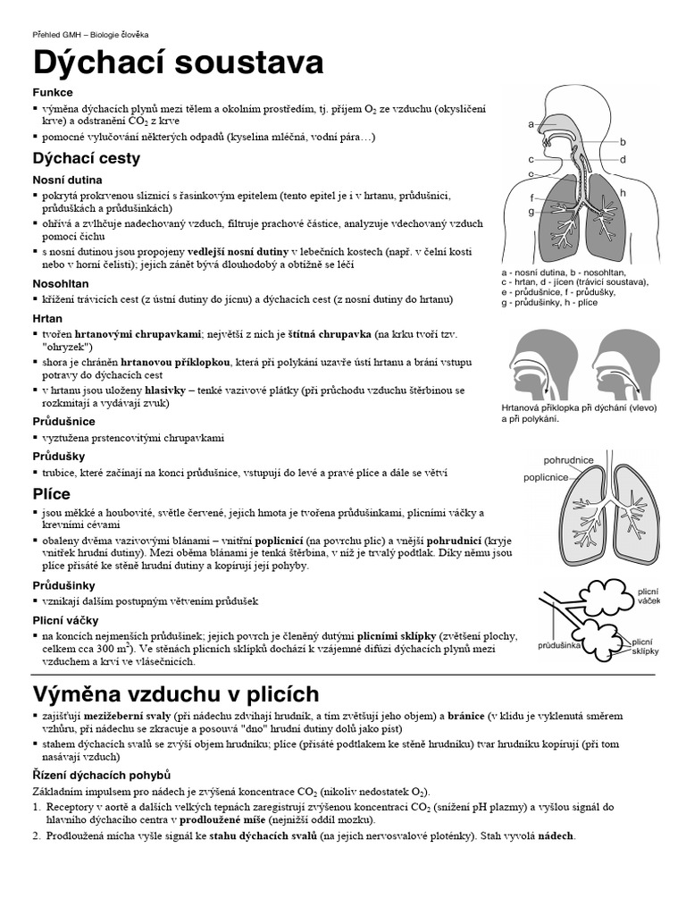 4clo_06_dychaci | PDF