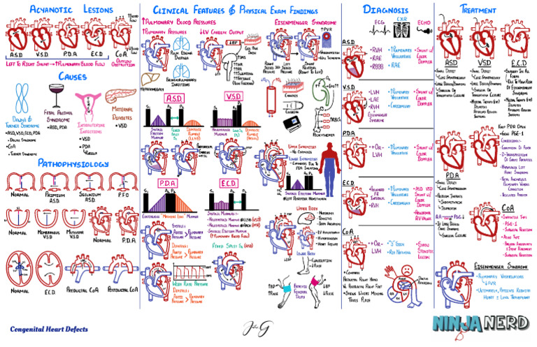 Acyanotic Congenital Heart Defect Atf | PDF