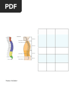 Ligament Pain Referral Patterns Guide | PDF | Knee | Hip