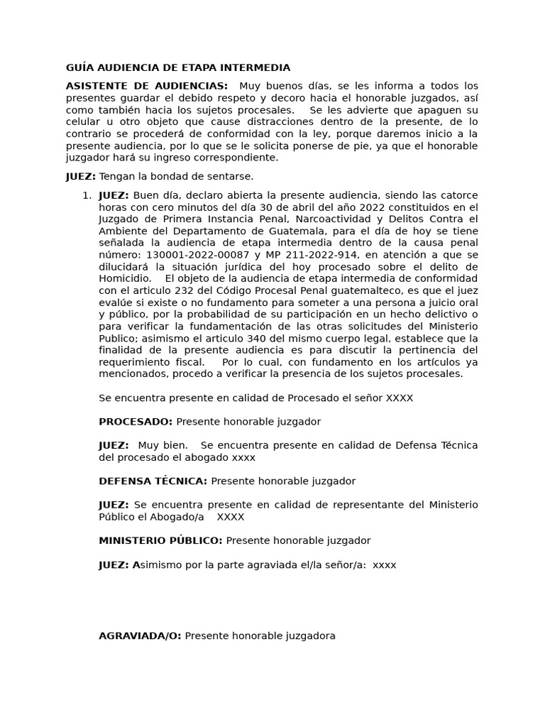 Guía Audiencia de Etapa Intermedia | PDF | Abogado | Juez