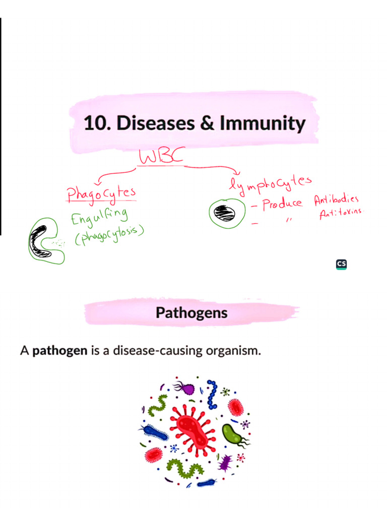 Topic 10 Diseases and Immunity | PDF