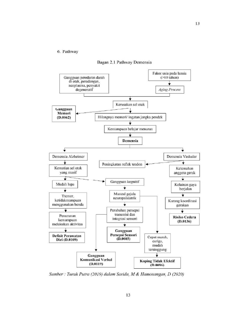 PATHWAY DEMENSIA | PDF