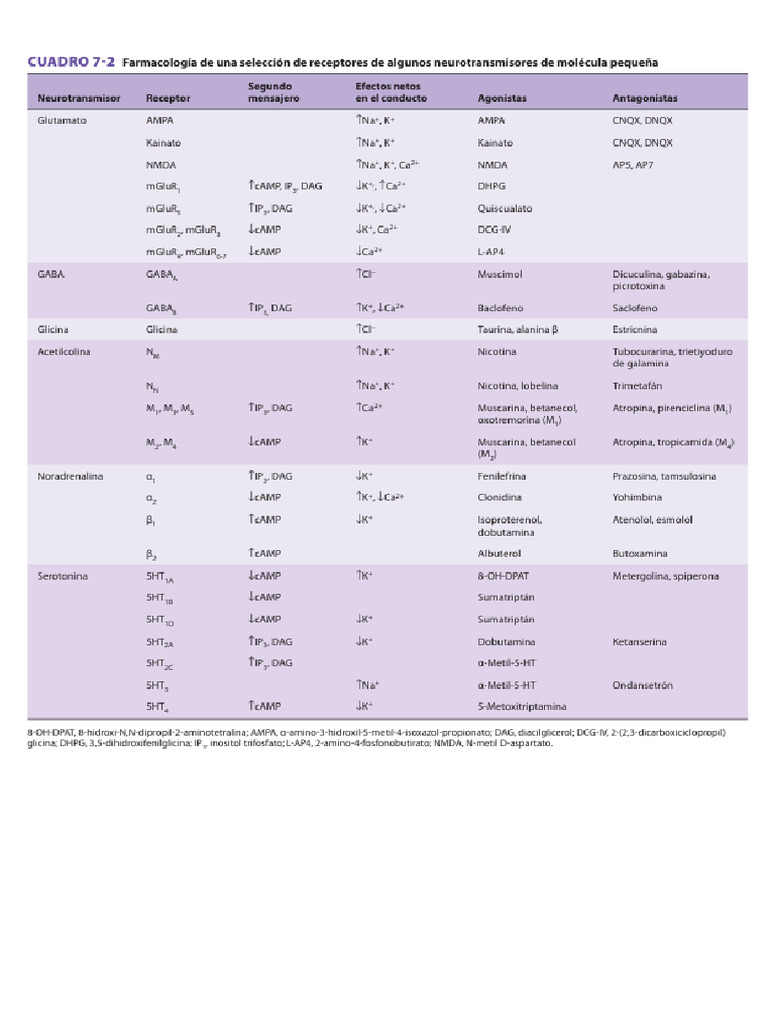 Receptores Sistema Autonomo | PDF