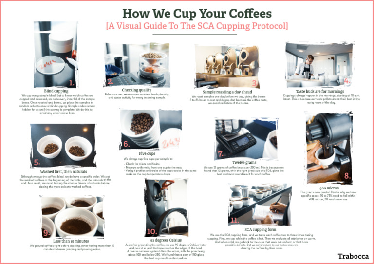 How We Cup Your Coffee - A Visual Guide to the SCA Cupping Protocol ...