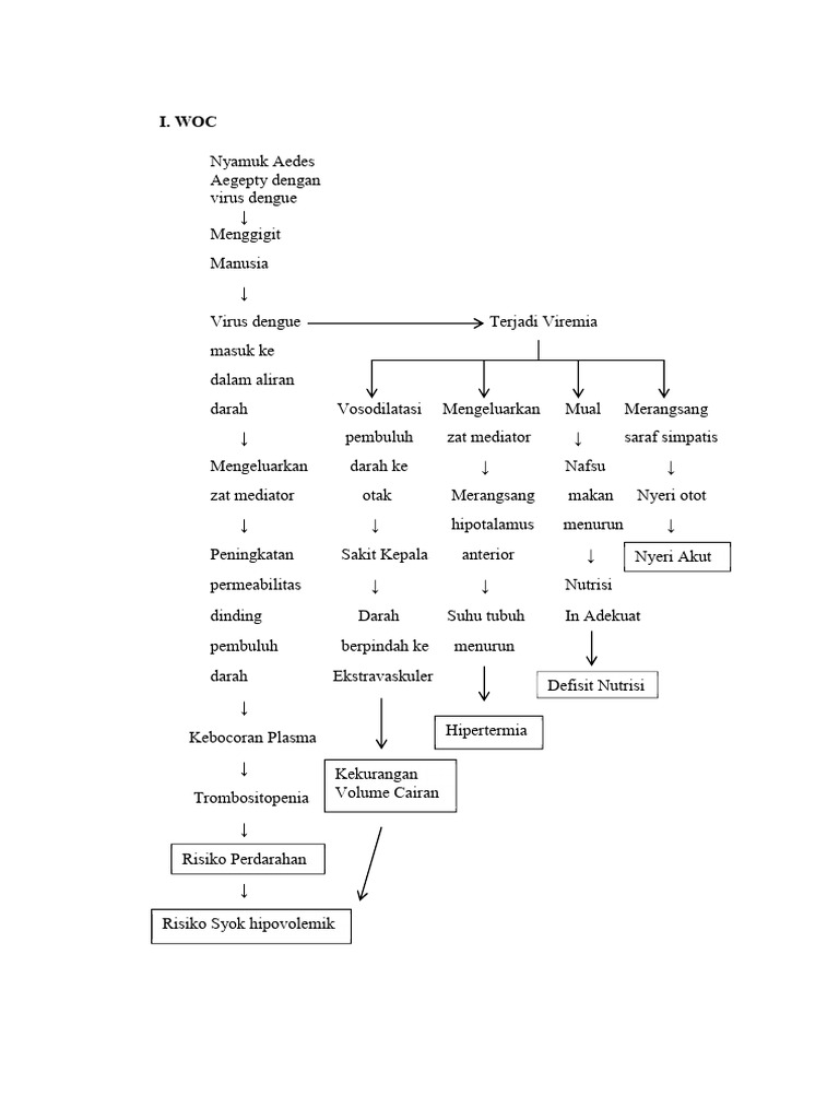 Pathway DHF Anak | PDF
