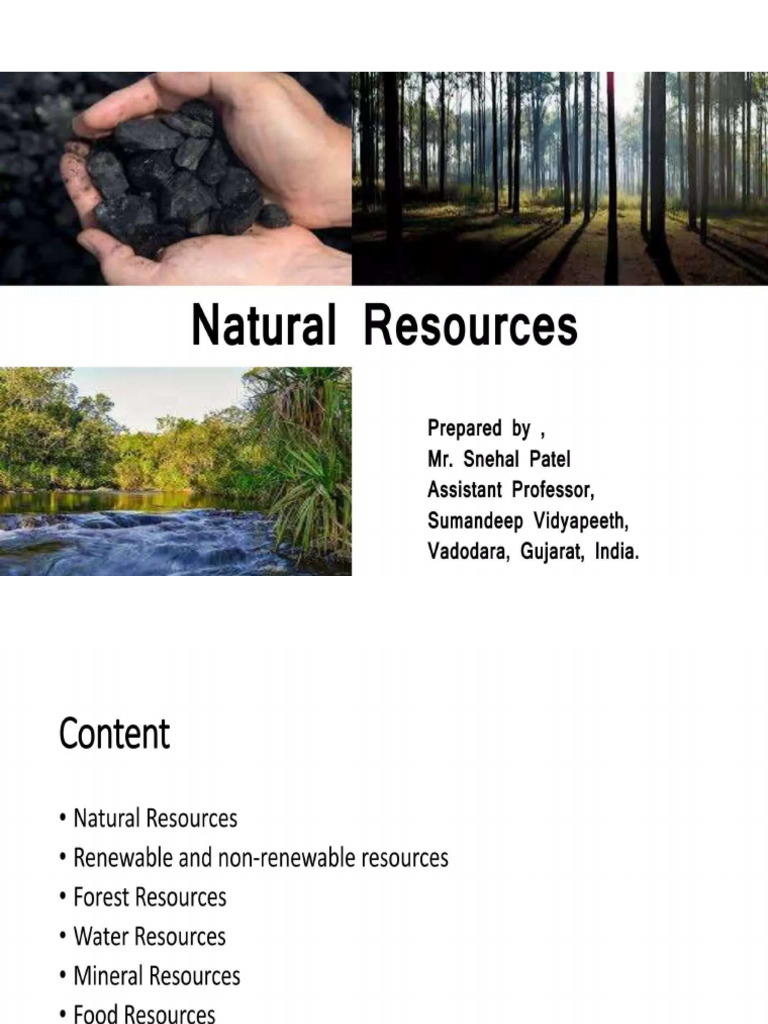 Natural Resources | PDF