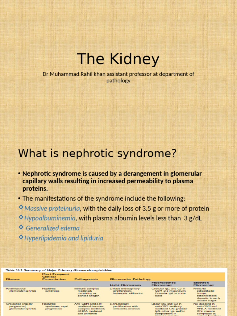 Nephrotic Syndrome | PDF | Diseases And Disorders | Medical Specialties