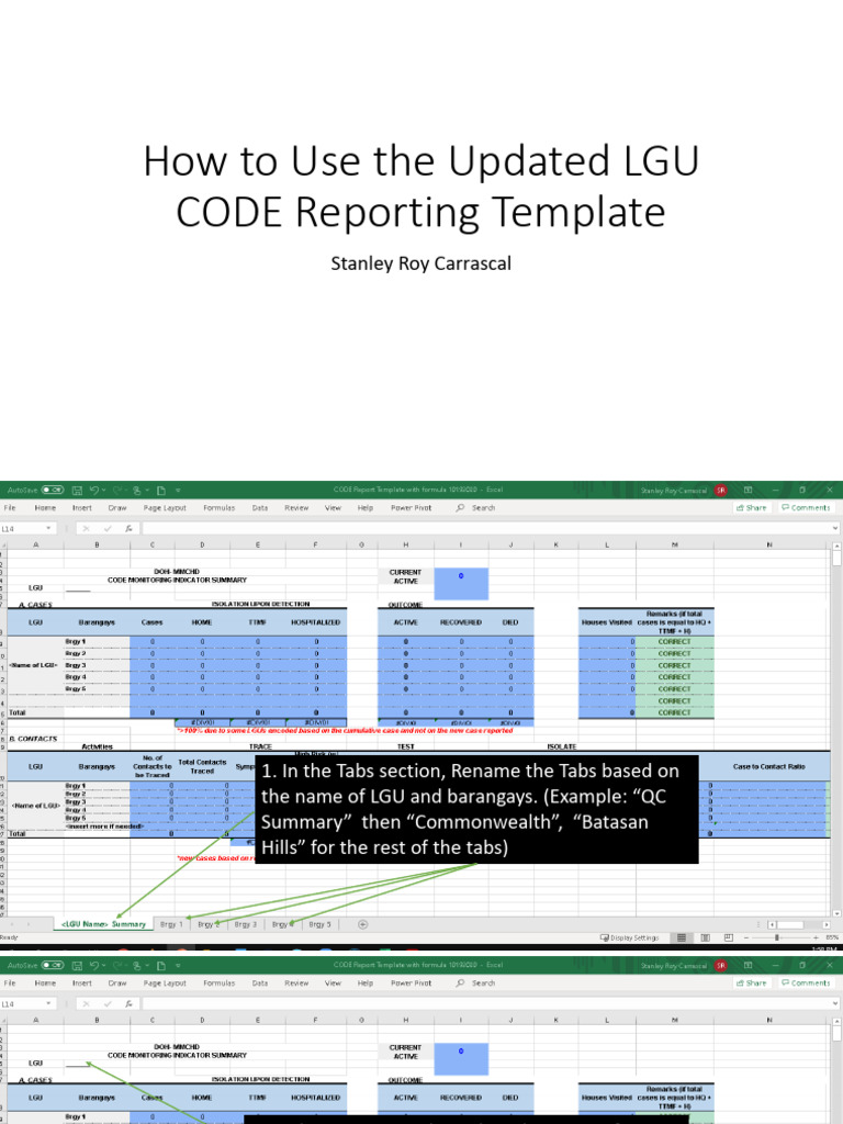 LGU CODE Reporting Template Guide | PDF | Computing | Computer Science