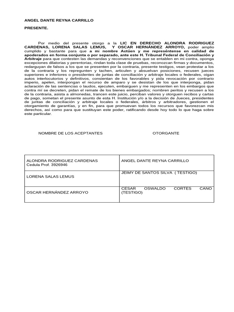 Carta Poder Lorena | PDF