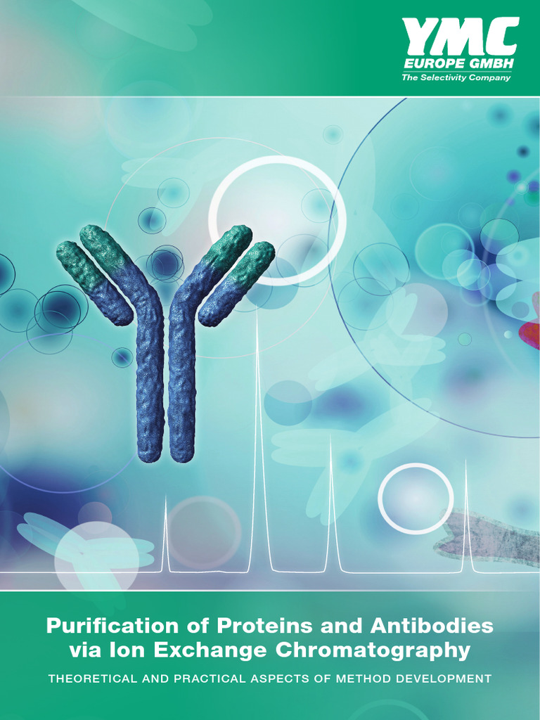 YMC Whitepaper Purification of Proteins and Antibodies Via Ion Exchange ...