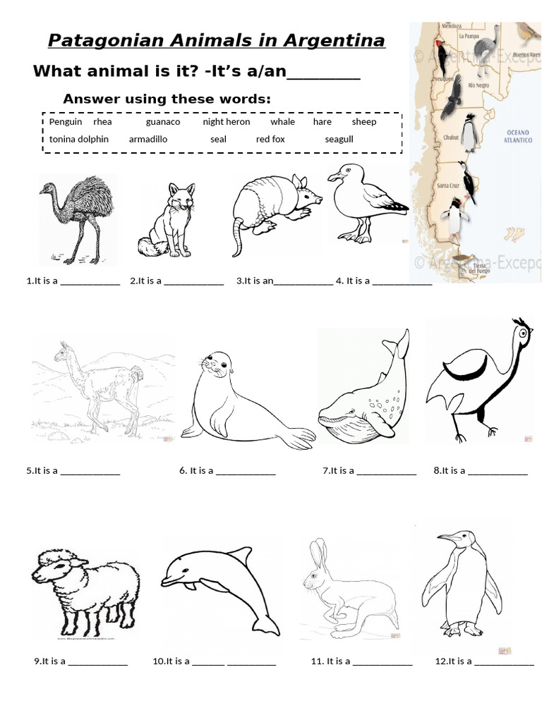 Patagonian Animal Identification Guide | PDF
