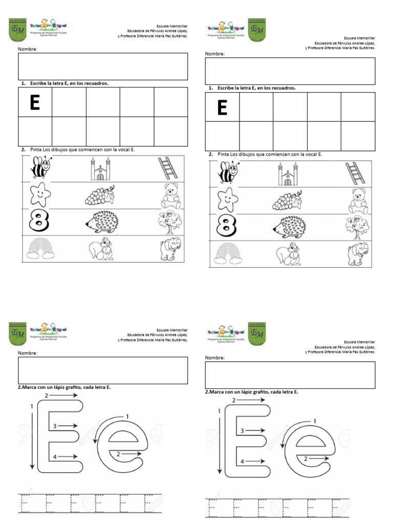 Guía F.F Vocal E | PDF | Grafito | Materiales de Conservación y ...