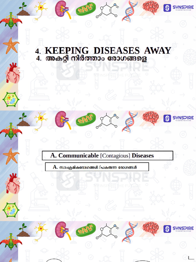 Copy of Untitled Design-compressed | PDF