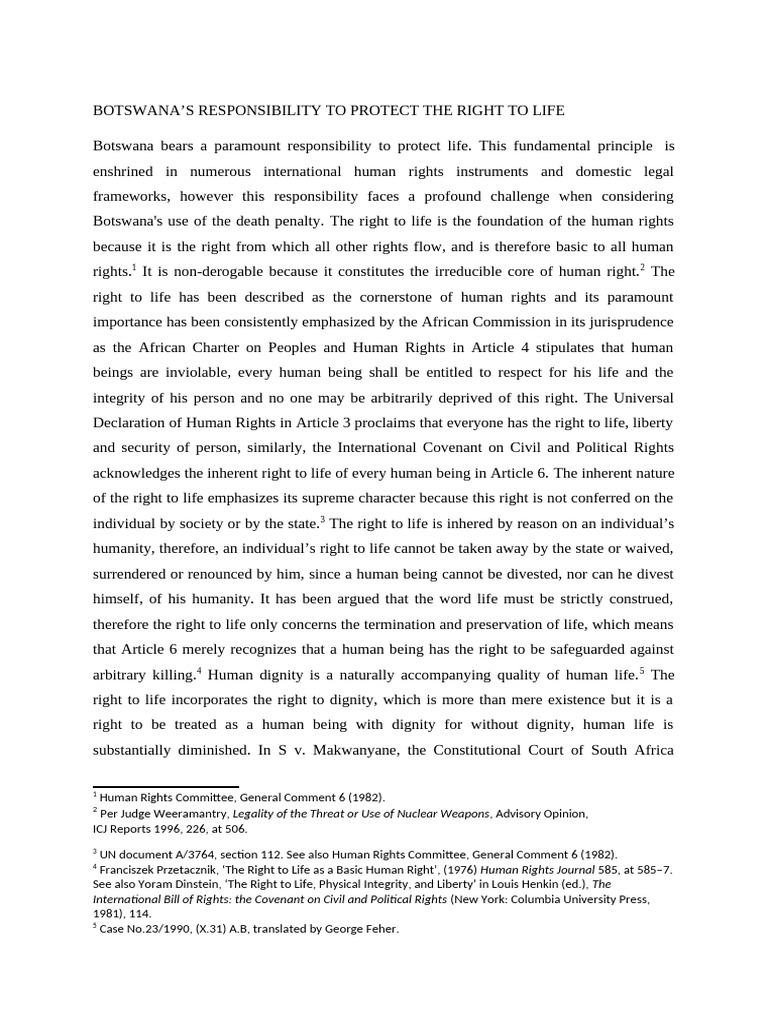 The State's Responsibilty To Protect Life | PDF | Human Rights ...