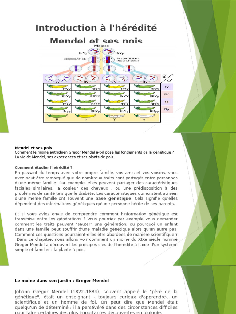 Cours 3 Introduction a la Genetique | PDF | Dominance (Génétique ...