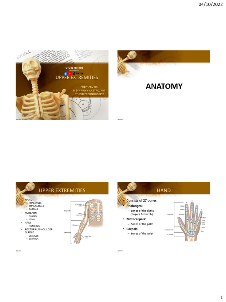 Upper Extremities Anatomy Overview | PDF | Hand | Skeletal System