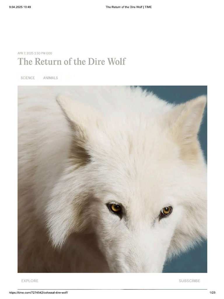 The Return of The Dire Wolf | PDF
