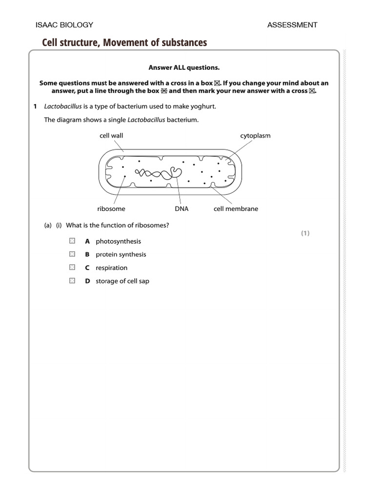 Biology Assessment | PDF