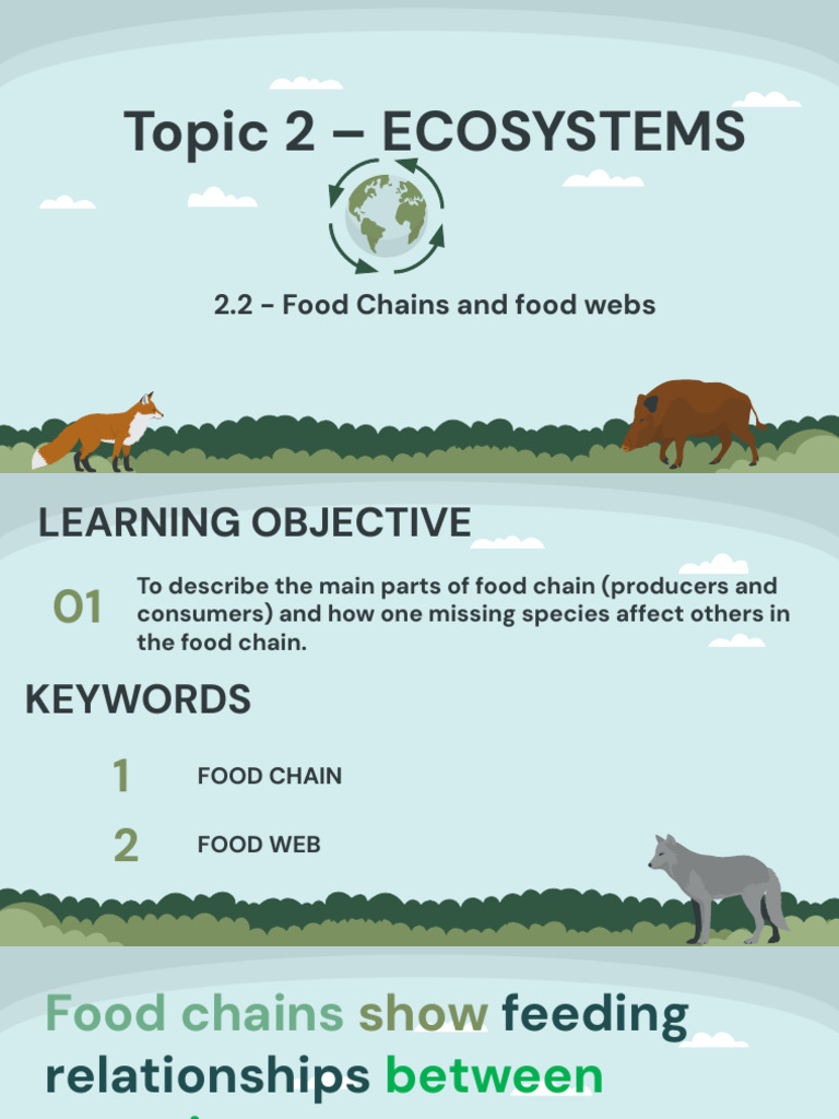 2056riffa3430 - Food Chain and Food Web | PDF | Foods | Food Web