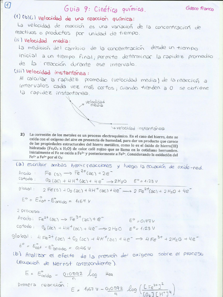 Guia 9 - Cinética Química | PDF