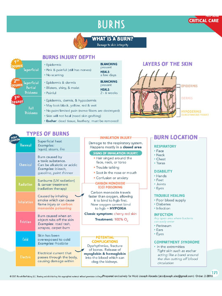 Burns | PDF