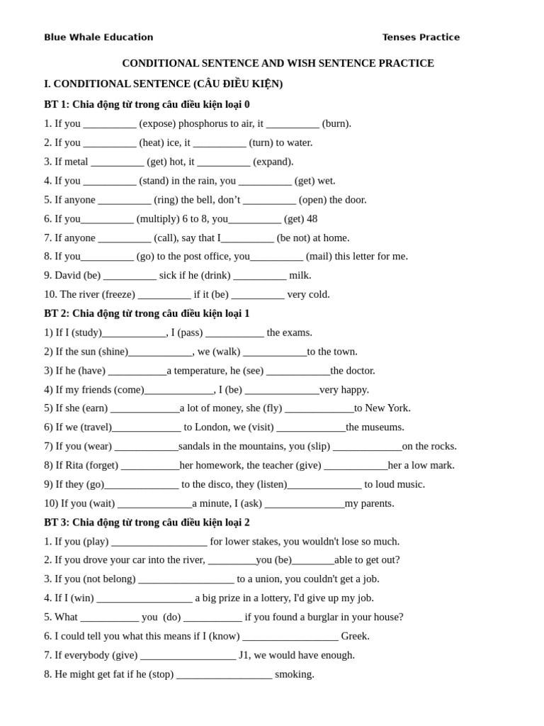 Conditional Sentence and Wish Sentence Practice | PDF