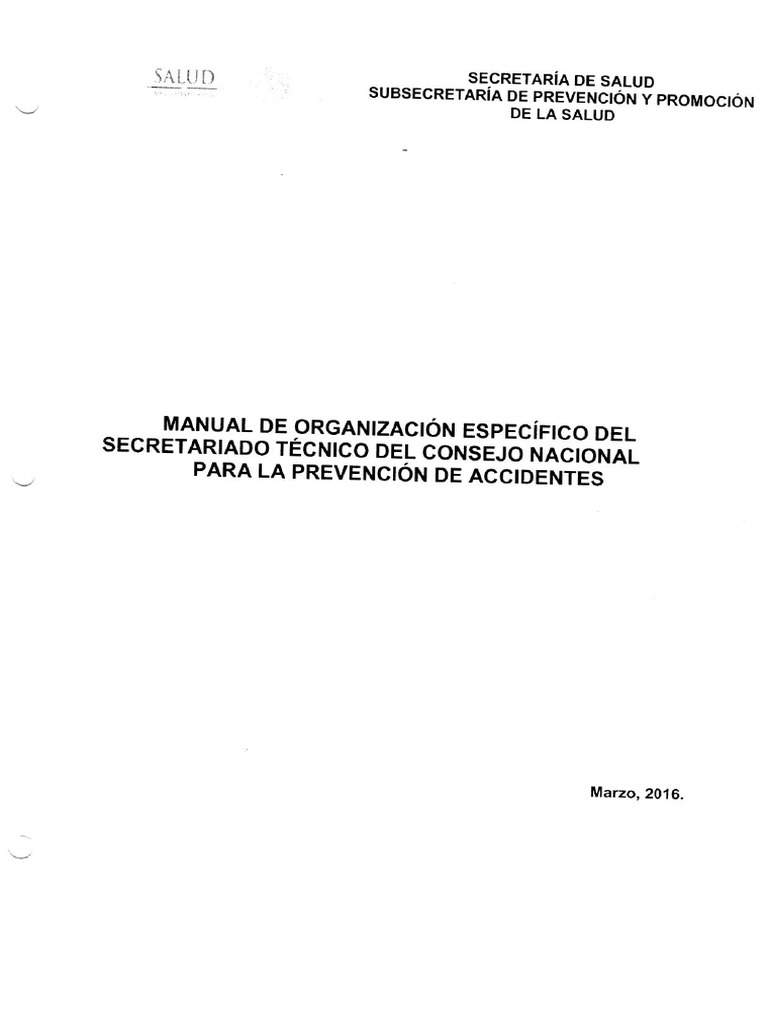 Manual de Organizacion Especifico Del Stconapra 2017 | PDF