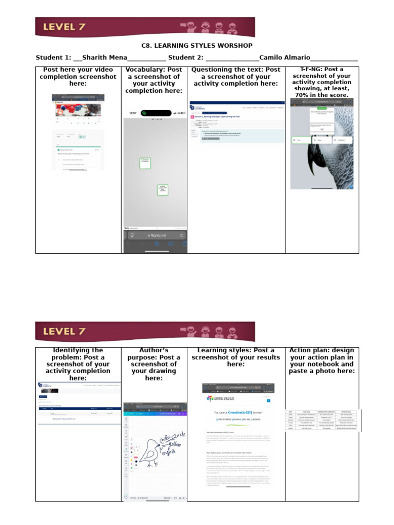C8. Learning Styles Workshop 1 - Sharith and Camilo | PDF
