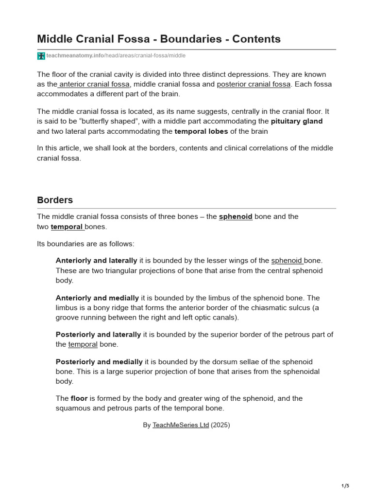 TMA-Middle Cranial Fossa - Boundaries - Contents | PDF | Human Anatomy ...