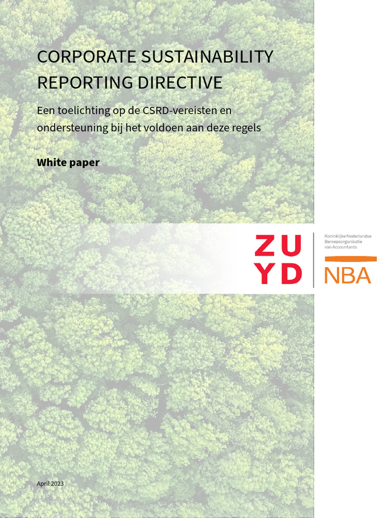 White Paper CSRD | PDF