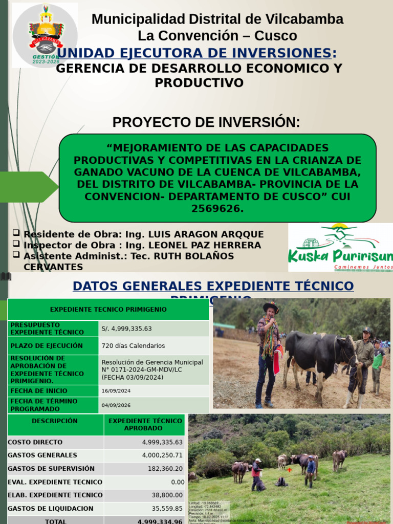 Modelo de Exp. Proyectos 2025 | PDF