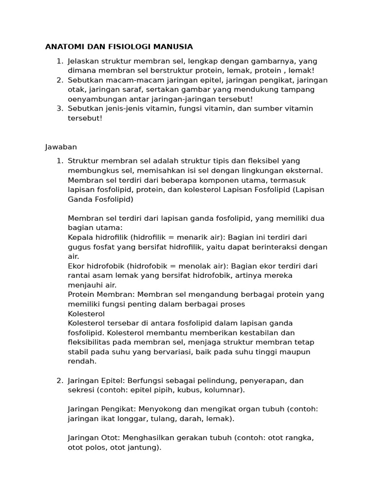 Anatomi Dan Fisiologi Manusia | PDF