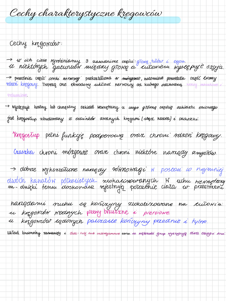 Cechy Charakterystyczne Kręgowców | PDF