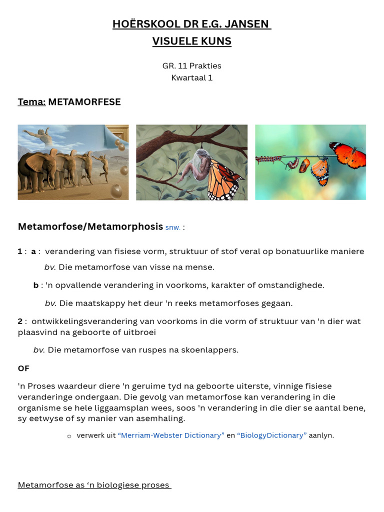 Art Metamorphosis Theme | PDF