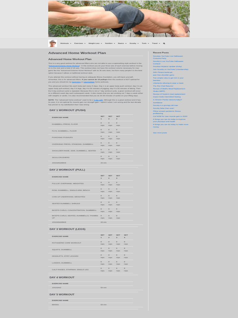 Scooby1961 - Advanced Home Workout | PDF | Physical Fitness | Strength ...