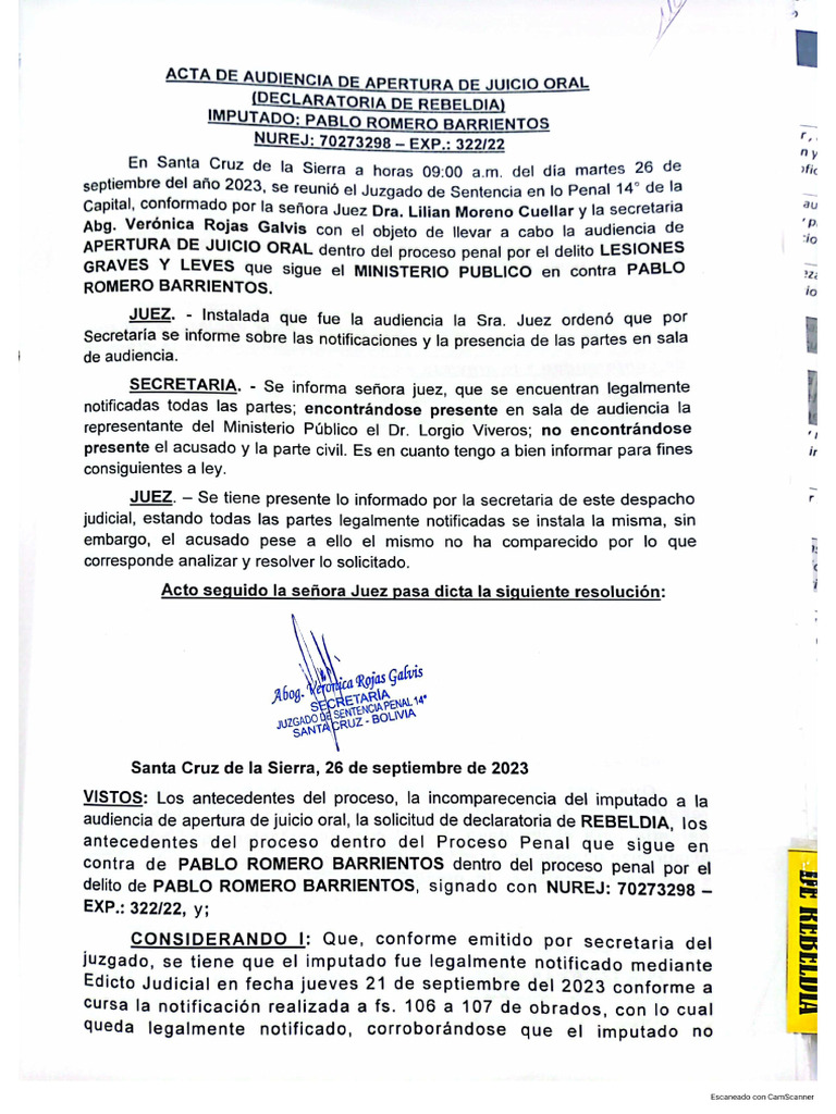 acta de declaratoria barr | PDF