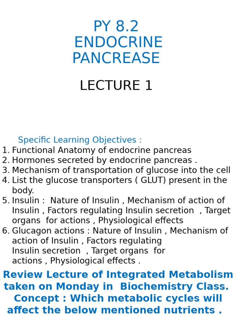 Endocrine Pancreas | PDF | Insulin | Pancreas