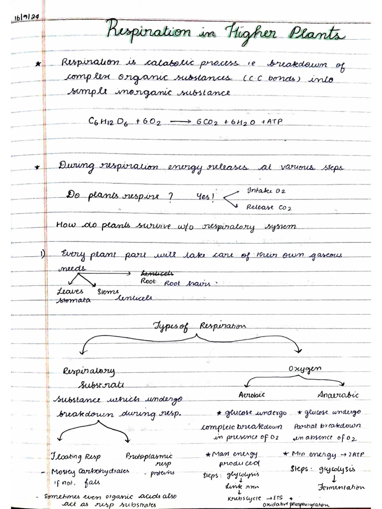 Respiration class 11 | PDF