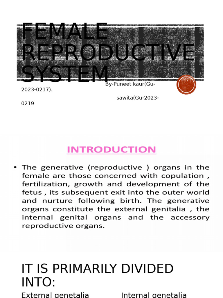 Female Reproductive System | PDF