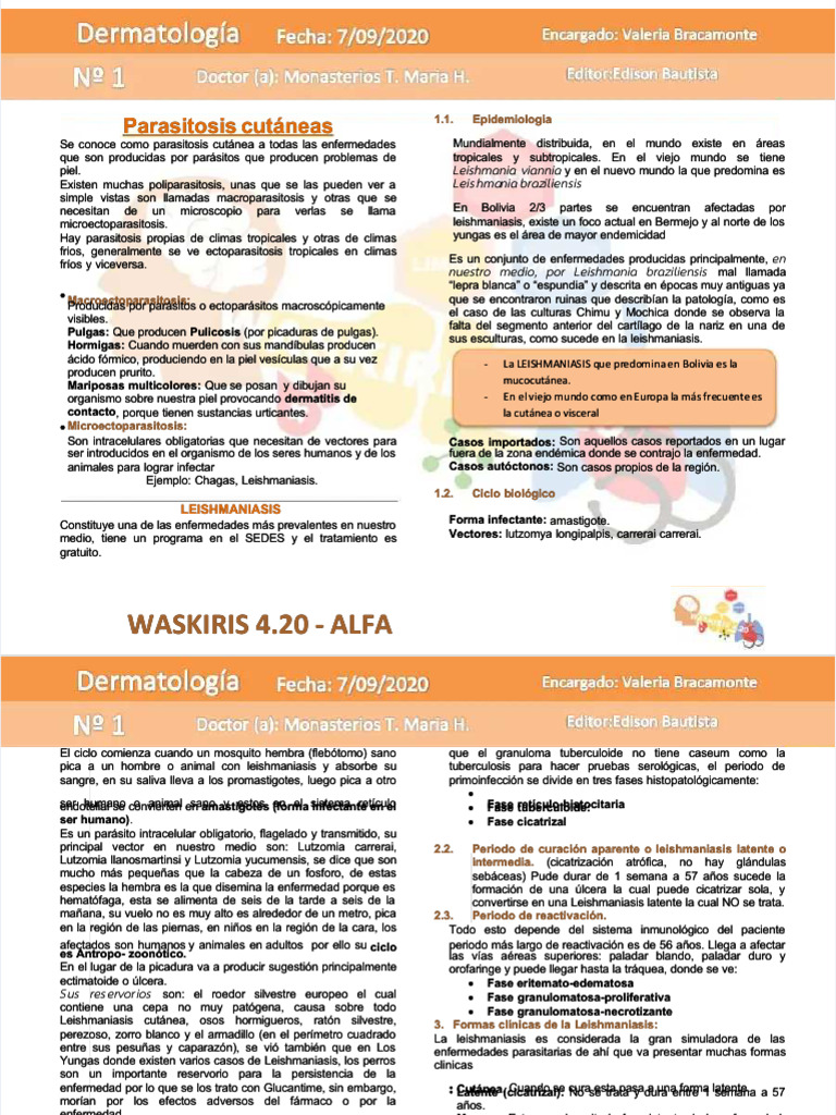 Leishmaniasis Derma | PDF | Especialidades Medicas | Enfermedades y trastornos