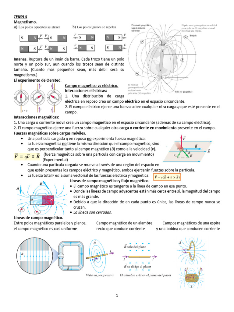 Magnetismo: Fuerzas y Campos Magnéticos | PDF | Campo magnético | Magnetismo